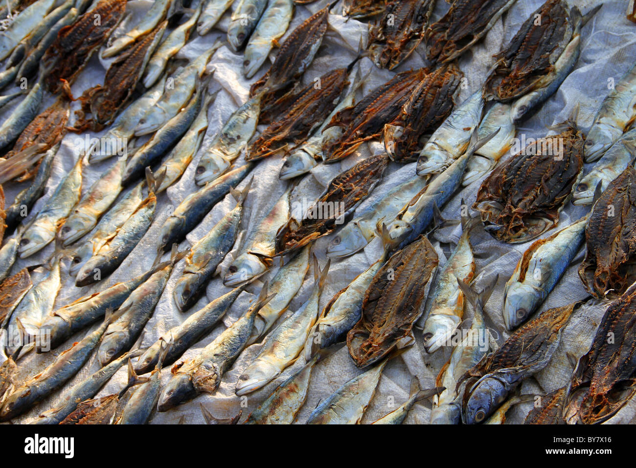 Dried seafood oriental chinese asia hi-res stock photography and images ...