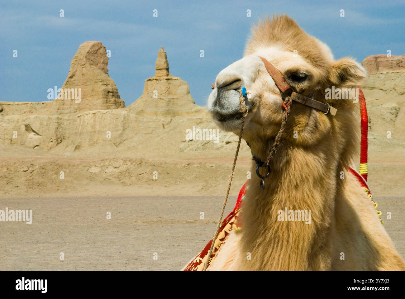 Karamay hi-res stock photography and images - Alamy