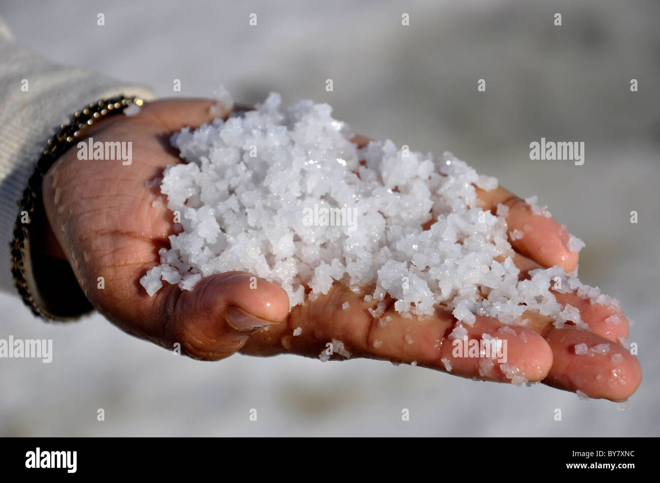 Rann of kutch salt hi-res stock photography and images - Alamy