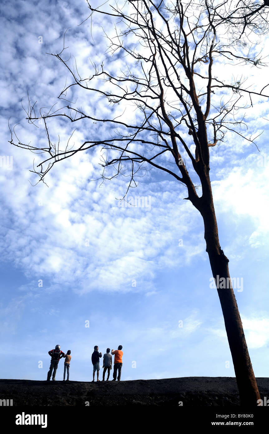 Peoples and a Tree Stock Photo - Alamy