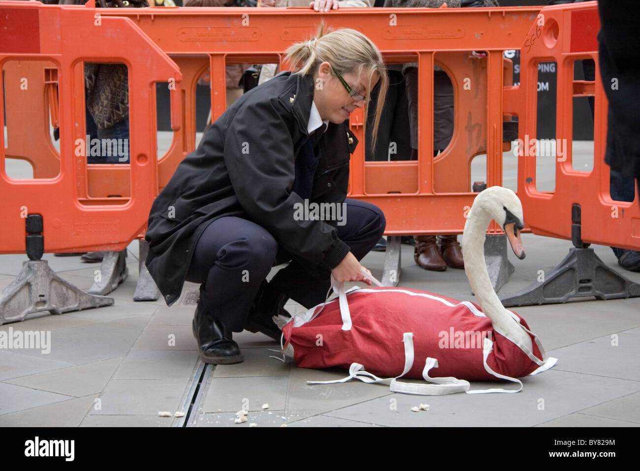 Rspca High Resolution Stock Photography and Images - Alamy