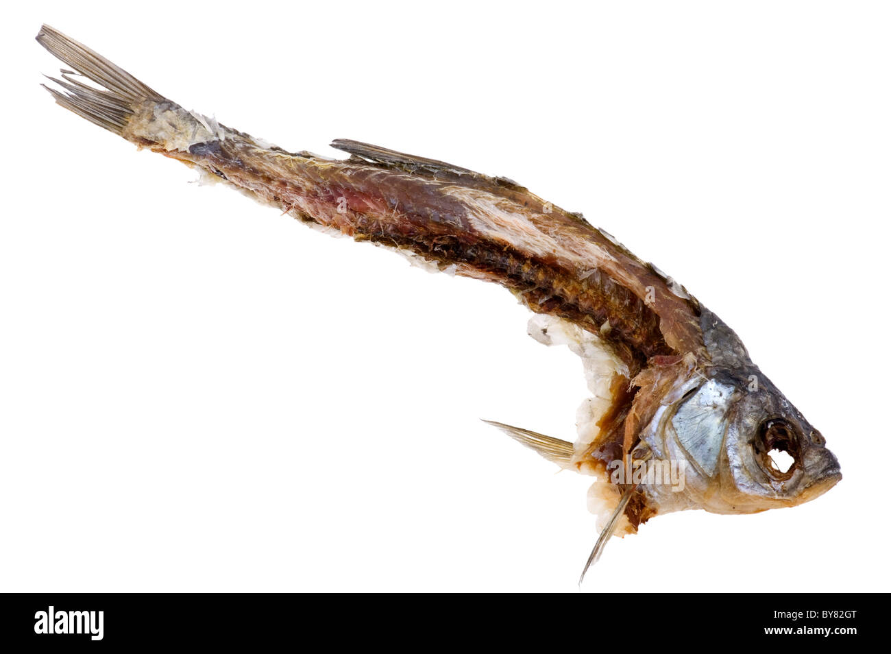 object on white - food dry fish close up Stock Photo - Alamy