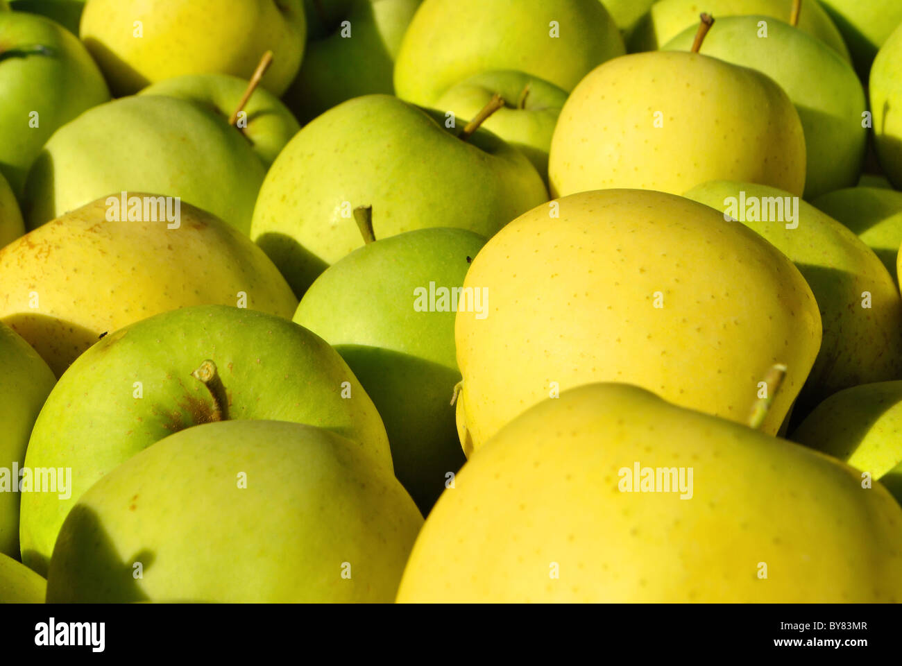 Group different colors apples hi-res stock photography and images - Alamy