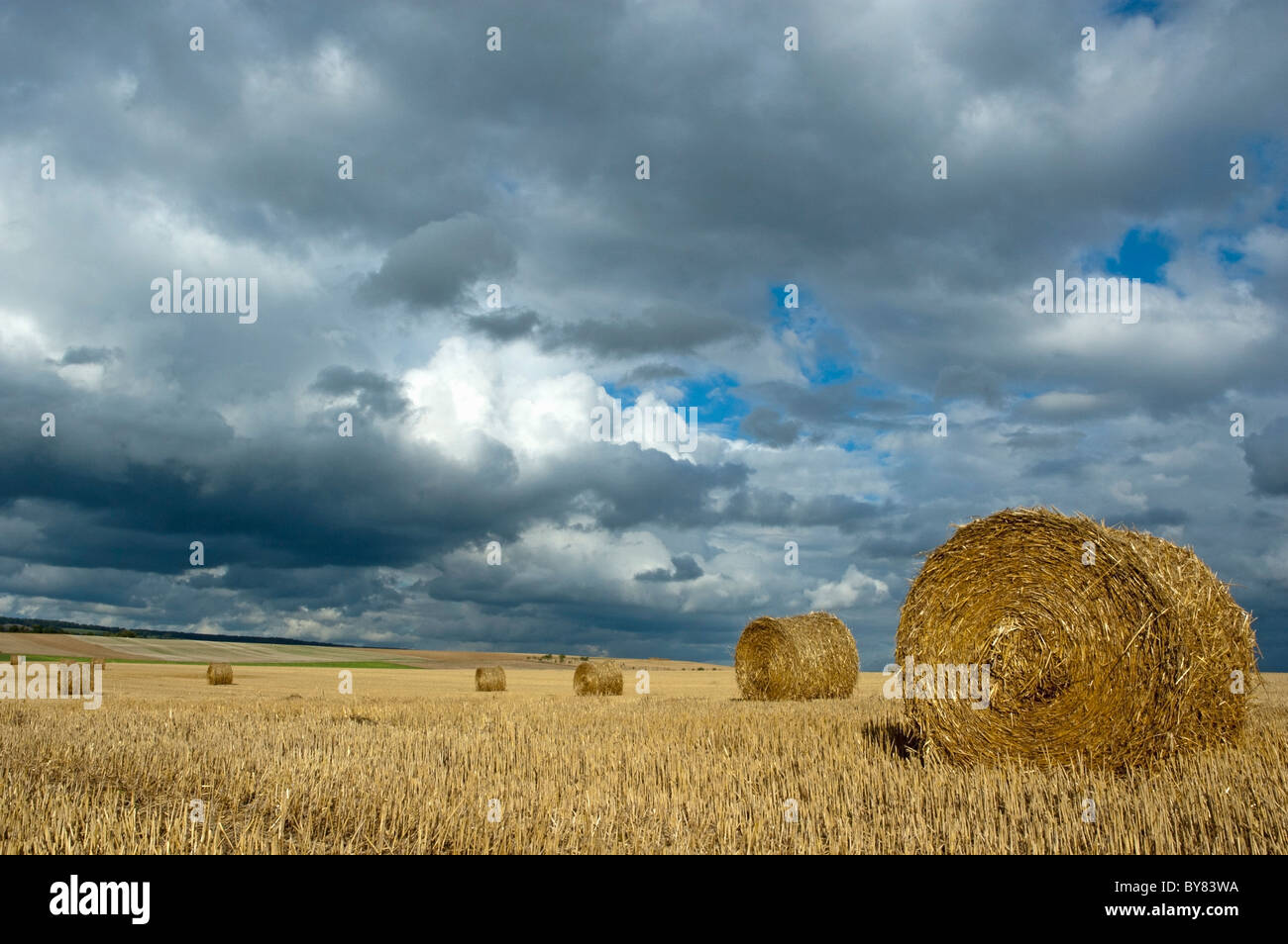 Hay bales in harvested corn field, Normandy, France Stock Photo - Alamy