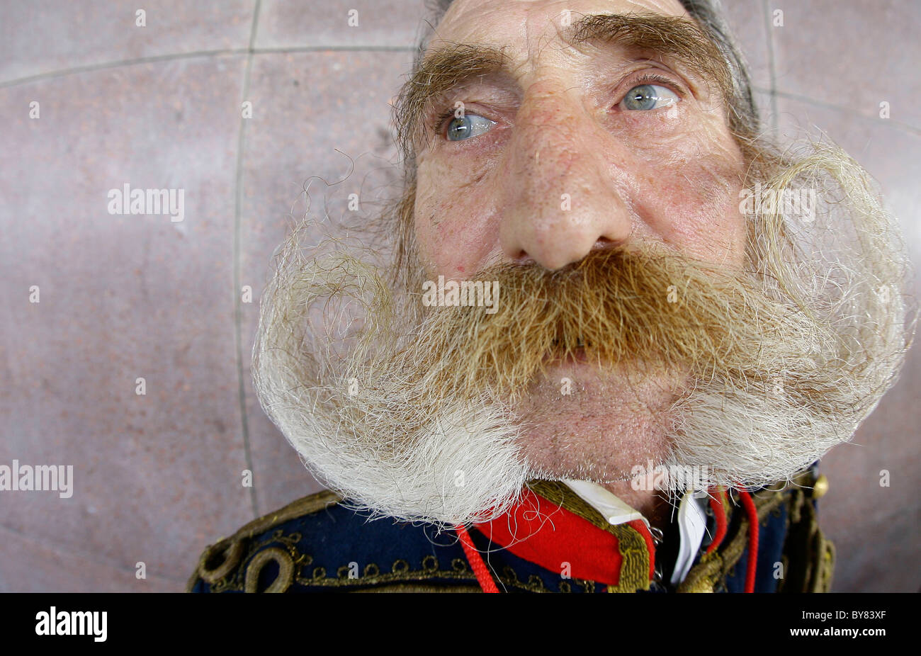 A competitor at the World Beard and Moustache Championships in Brighton ...