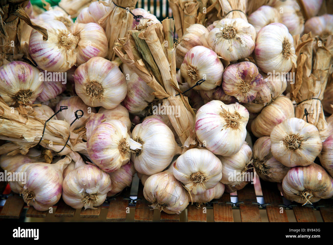 Garlic Bulbs, France Stock Photo - Alamy