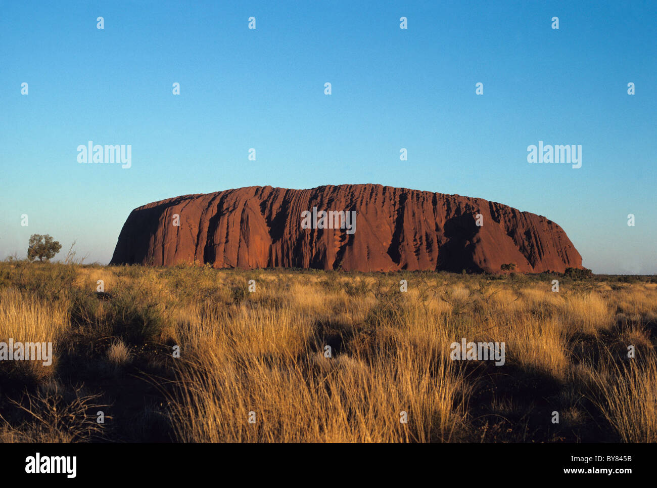 Henry ayers hi-res stock photography and images - Alamy