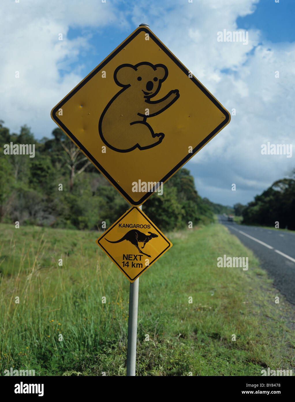 Koalas warning sign hi-res stock photography and images - Alamy
