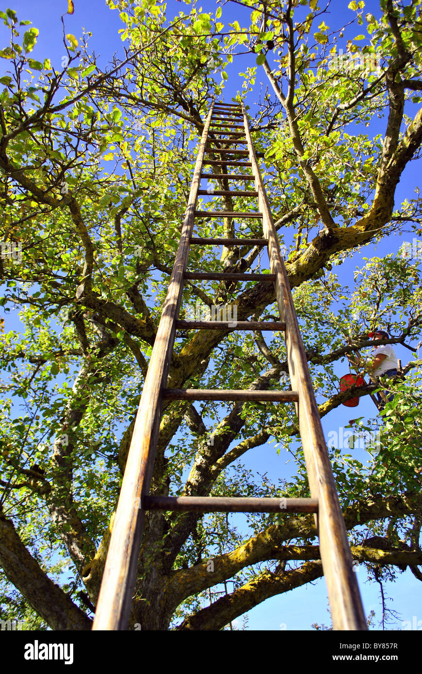 Stepladder mountains hi-res stock photography and images - Alamy