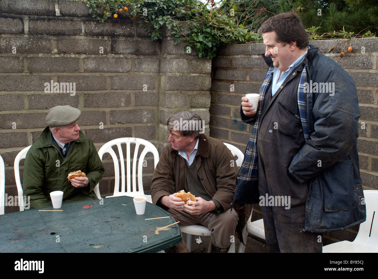 Highbridge livestock market hi-res stock photography and images - Alamy