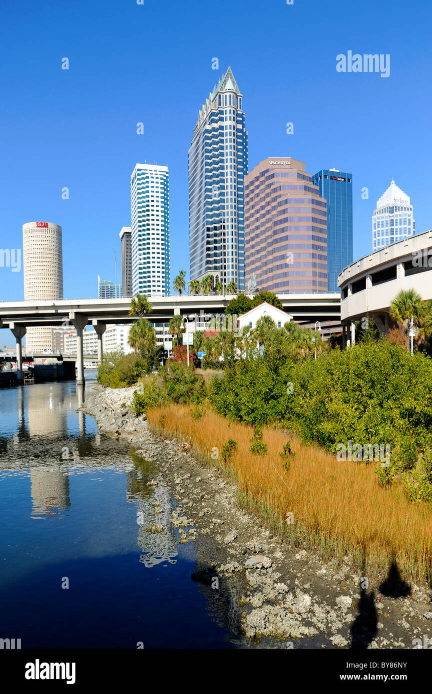 Tampa Florida shoreline restoration project funded by Southwest Florida ...