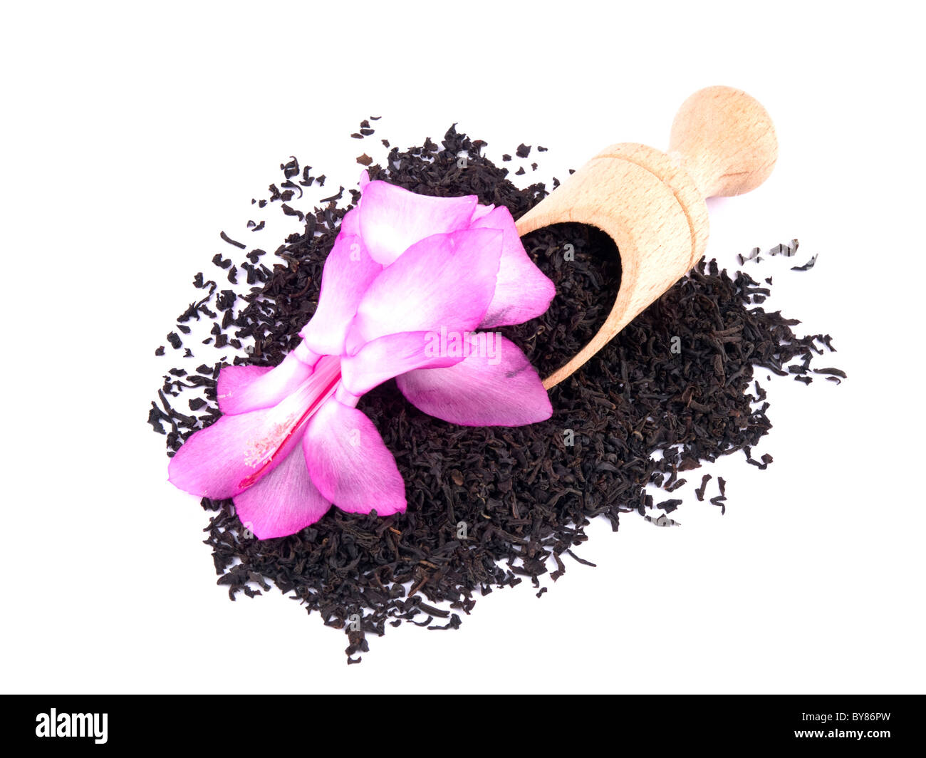 Picture of dry aromatic black tea leafs with pink christmas cactus ...