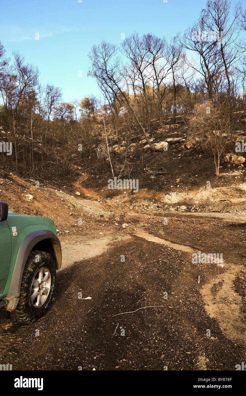 Soil erosion. Hillside soil erosion caused by loss of protective ...