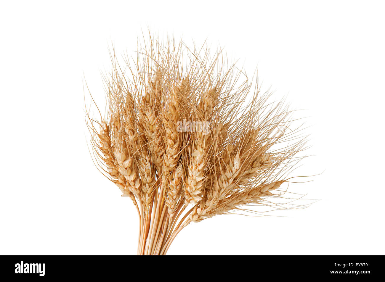 Cost of wheat hi-res stock photography and images - Alamy