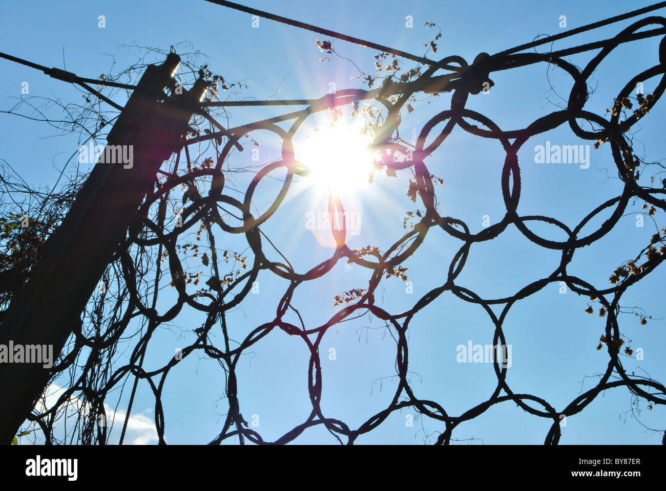 steel wire mesh for rock fall protection Stock Photo - Alamy