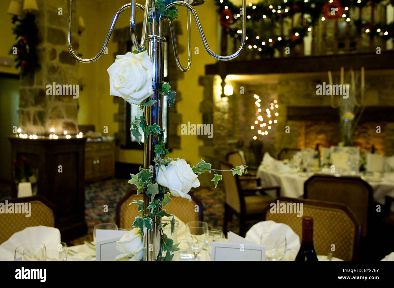 Trailing ivy hi-res stock photography and images - Alamy