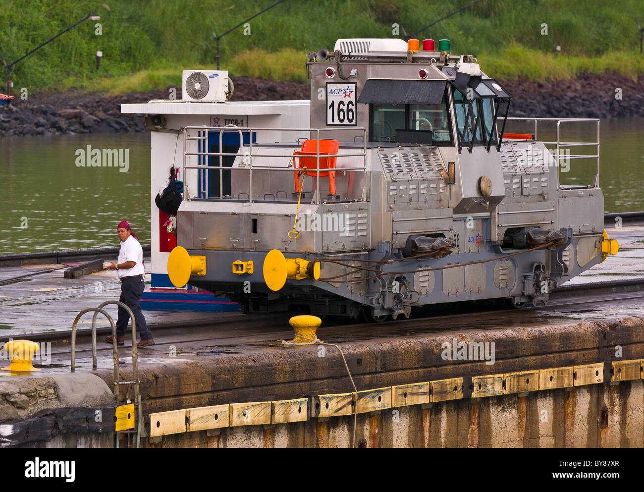 Worker mule hi-res stock photography and images - Alamy