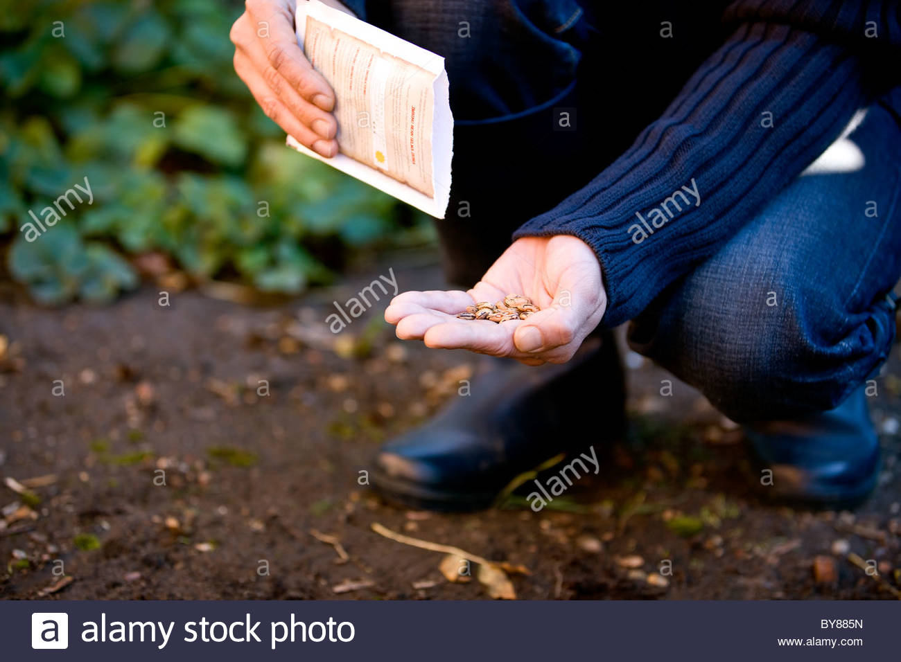 Plant Seeds Stock Photos & Plant Seeds Stock Images - Alamy