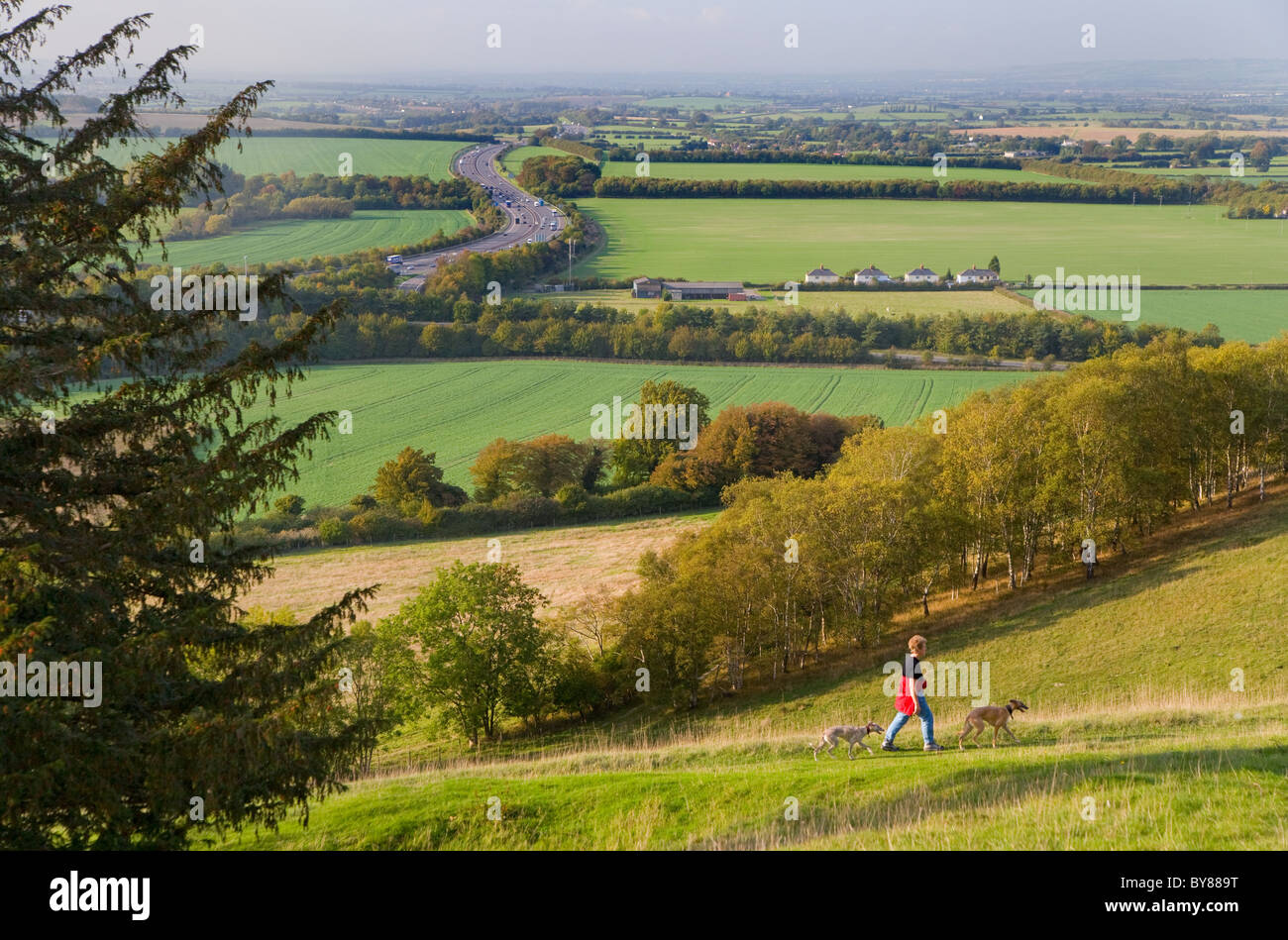 M40 Motorway from Aston Rowant National Nature Reserve in the Chilterns ...