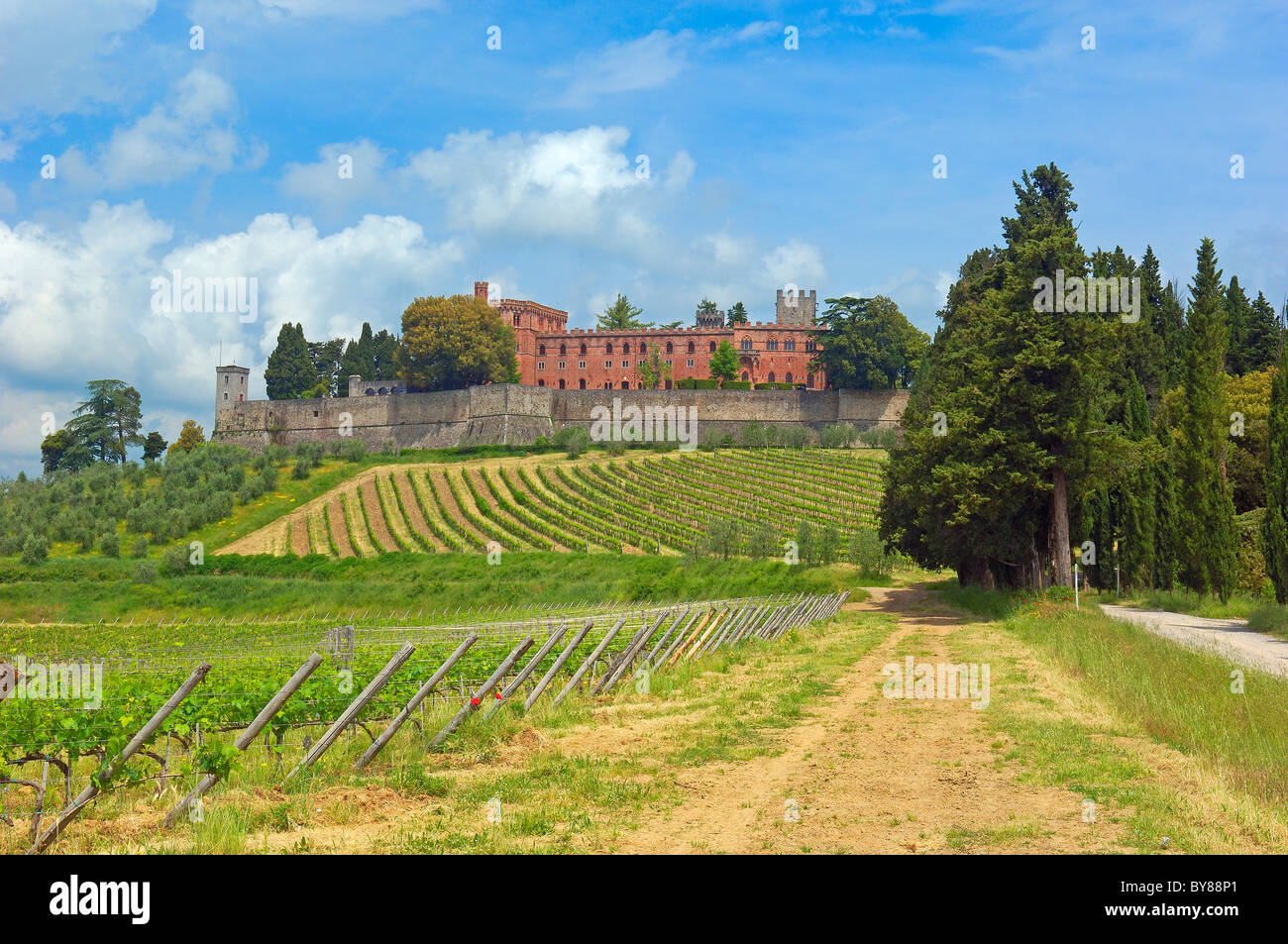 Chianti, Castello di Brolio, Brolio Castle, Ricasoli Vineyard, Siena ...