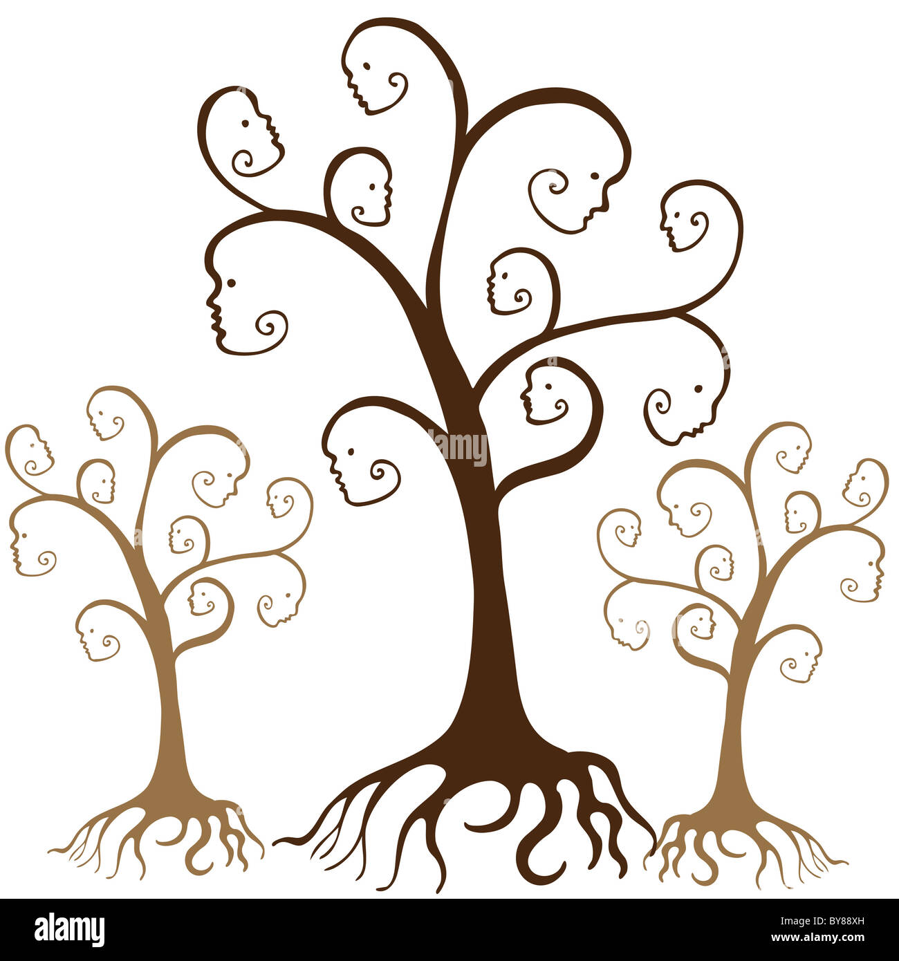 Family tree faces isolated on a white background Stock Photo - Alamy