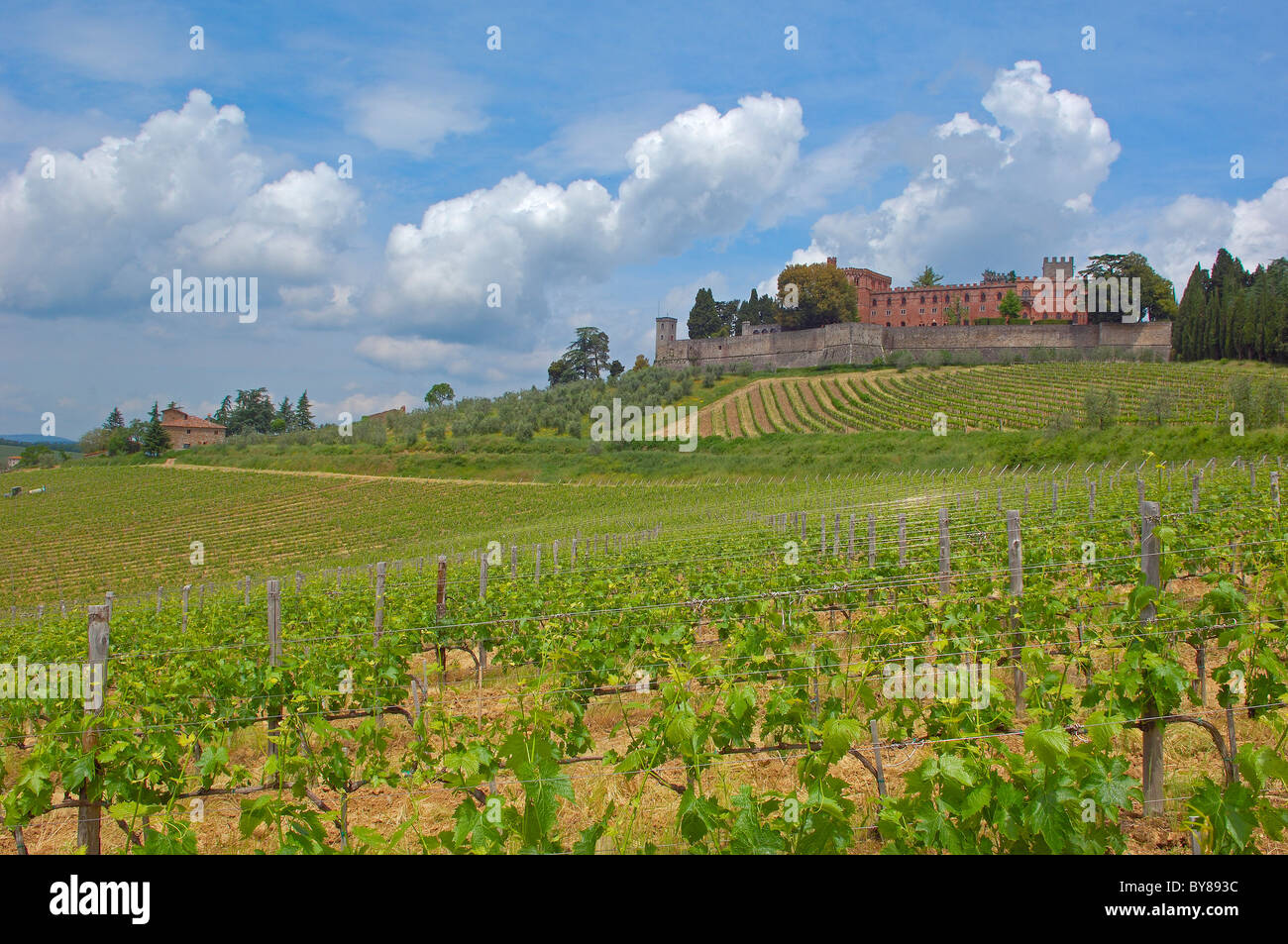 Chianti, Castello di Brolio, Brolio Castle, Ricasoli Vineyard, Siena ...