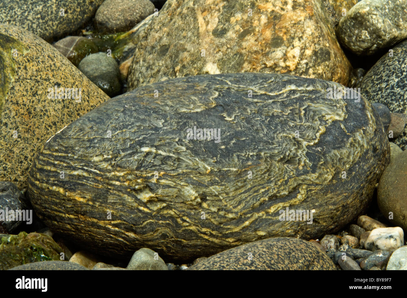 Rocks on coast South of Punta Arenas Strait of Magellan Chile South ...