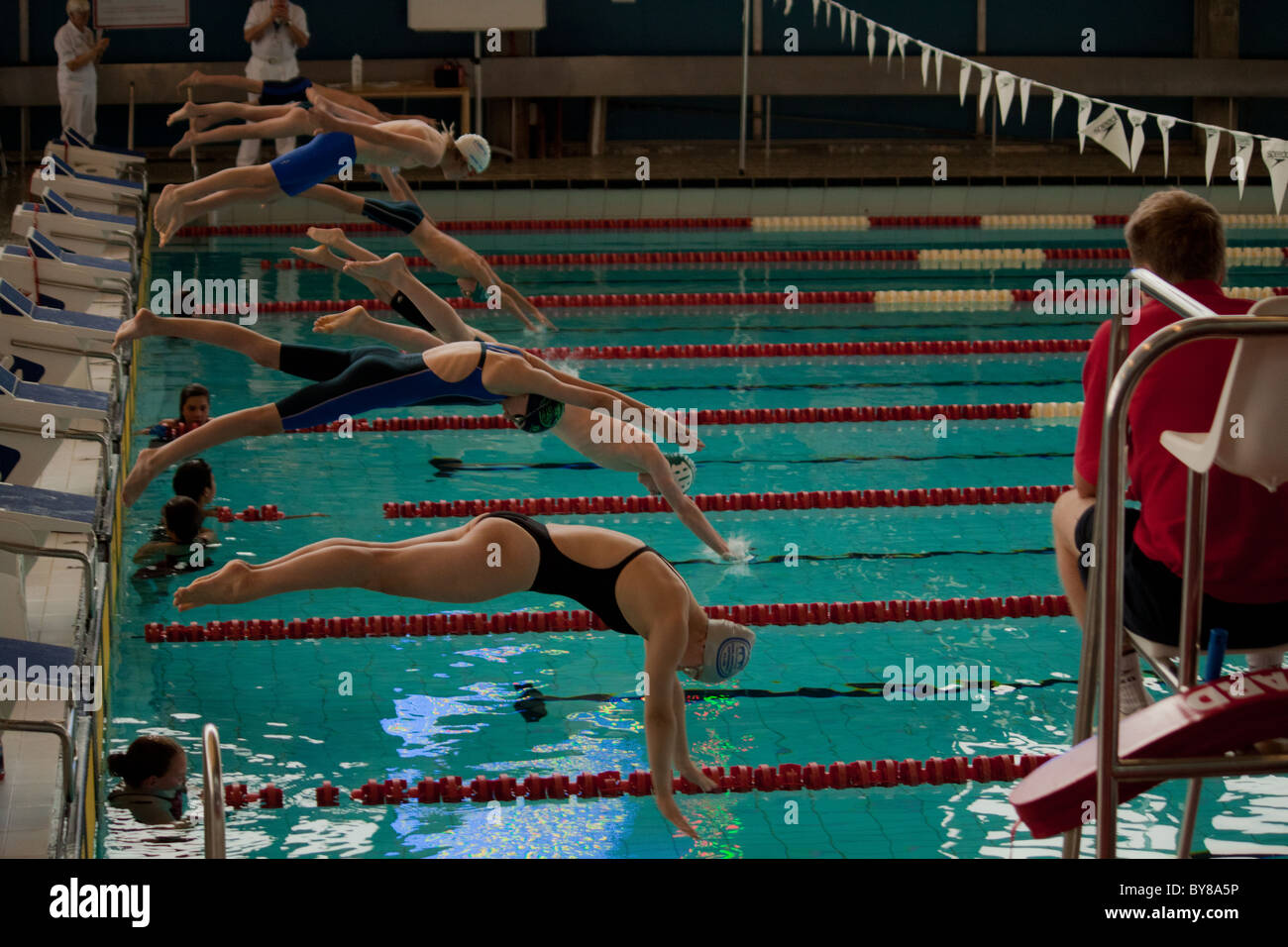 Female racing swimmers flying off the blocks Stock Photo - Alamy
