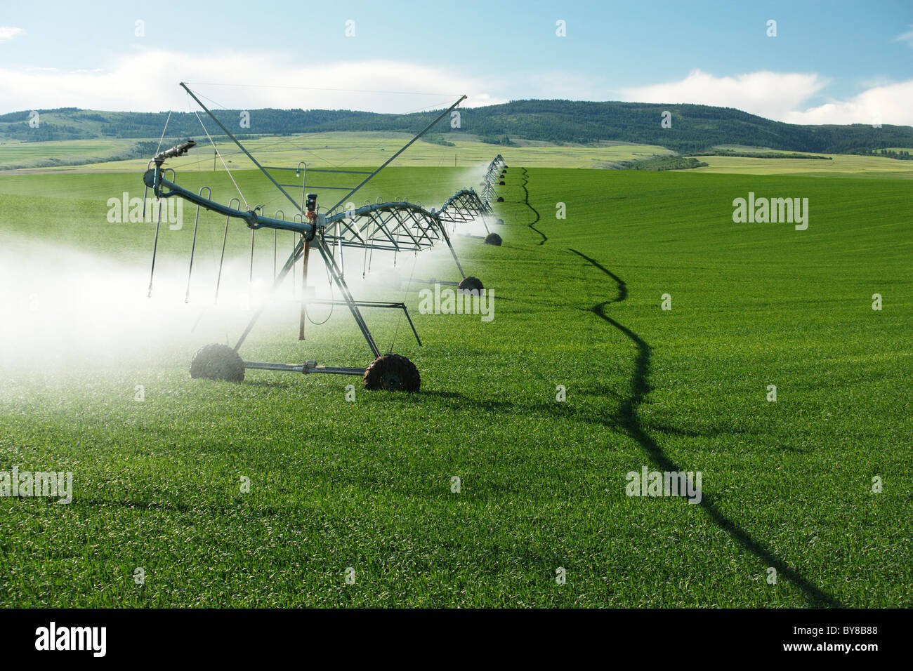 Center pivot sprinkler irrigation hi-res stock photography and images ...