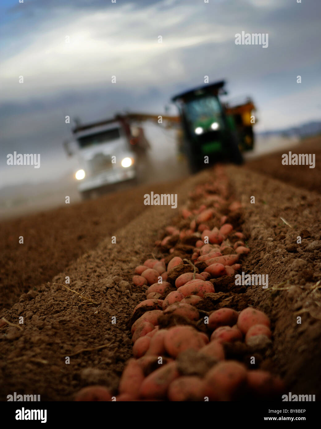 Windrow equipment hi-res stock photography and images - Alamy