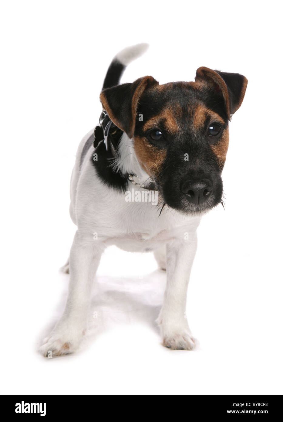 Jack standing hi-res stock photography and images - Alamy