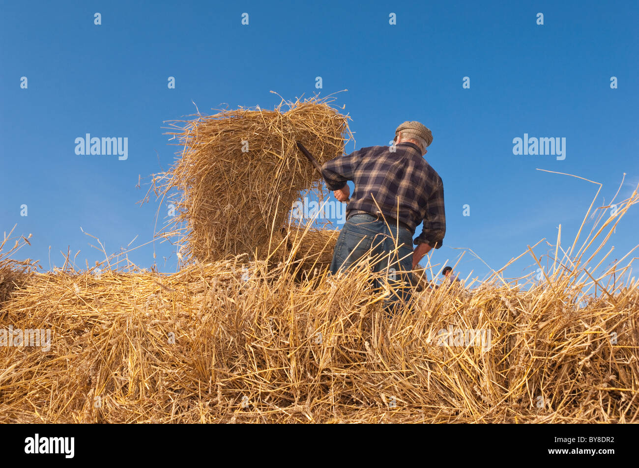 Threshing machine hi-res stock photography and images - Alamy