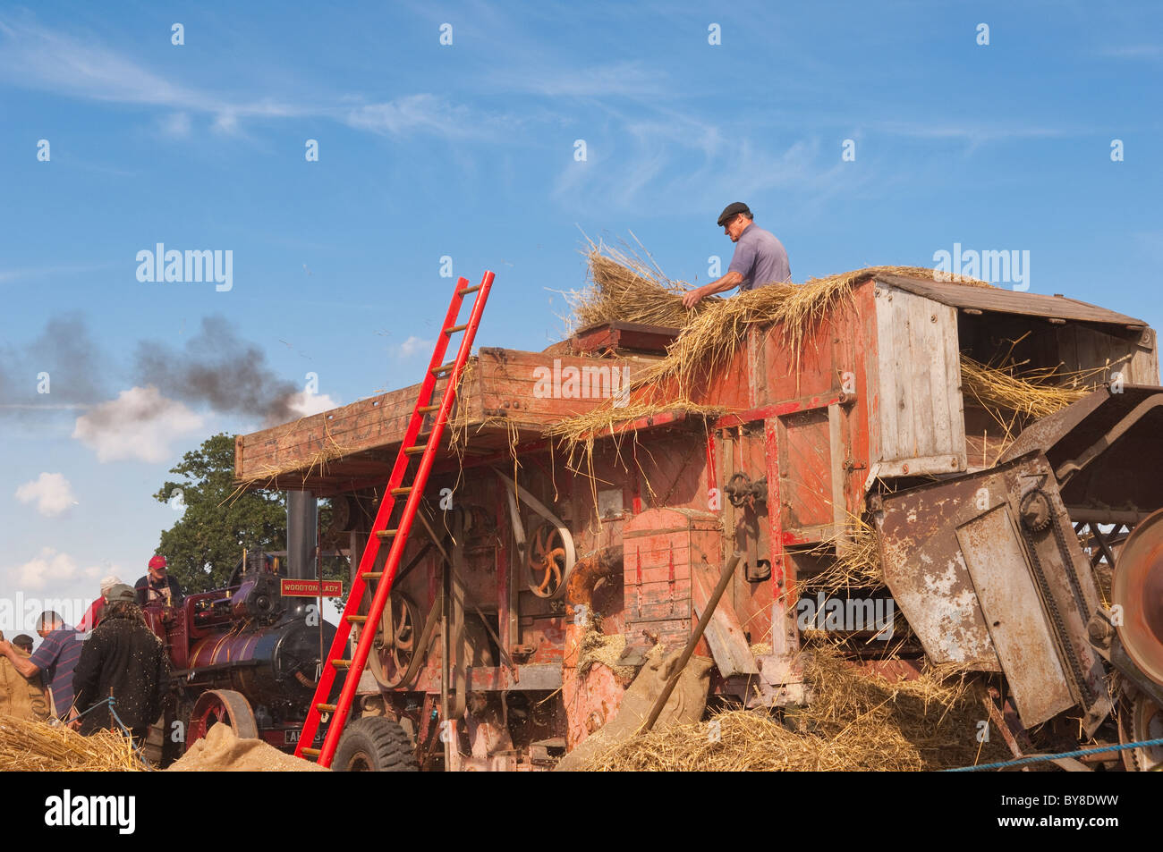 A man working on a Ransomes threshing machine showing movement and dust ...
