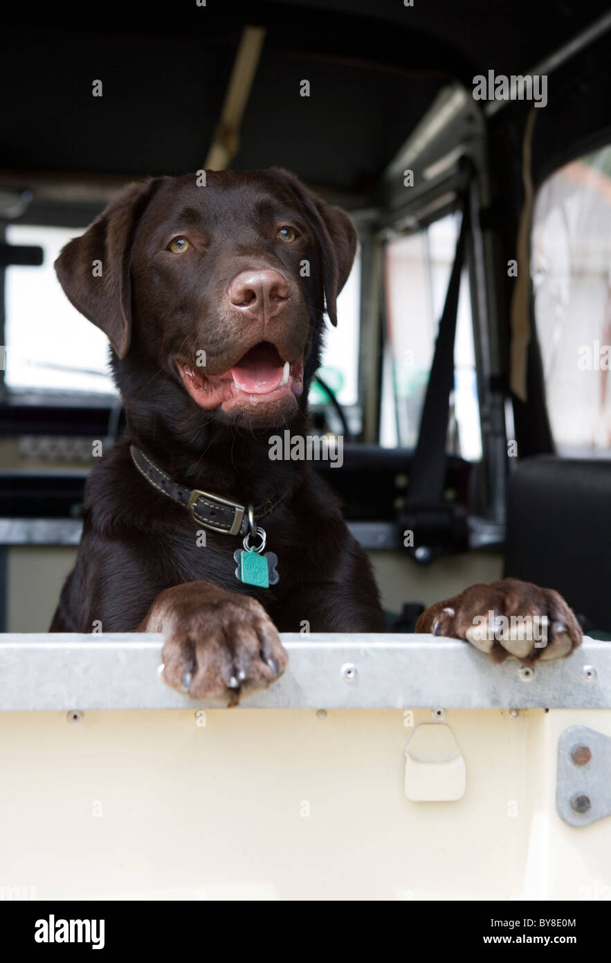 Landrover hi-res stock photography and images - Alamy