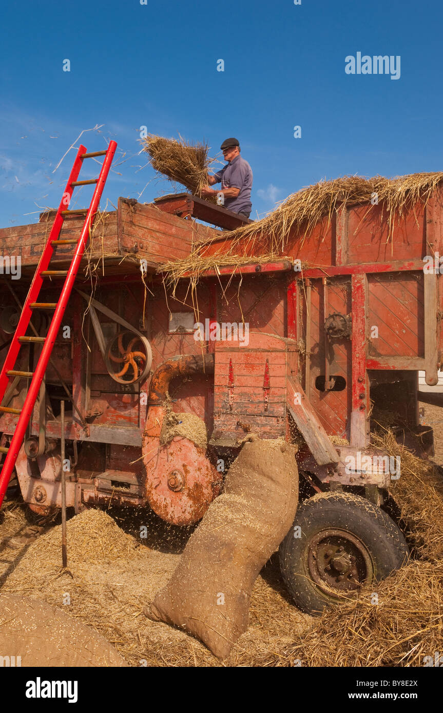 Threshing machine worker hi-res stock photography and images - Alamy