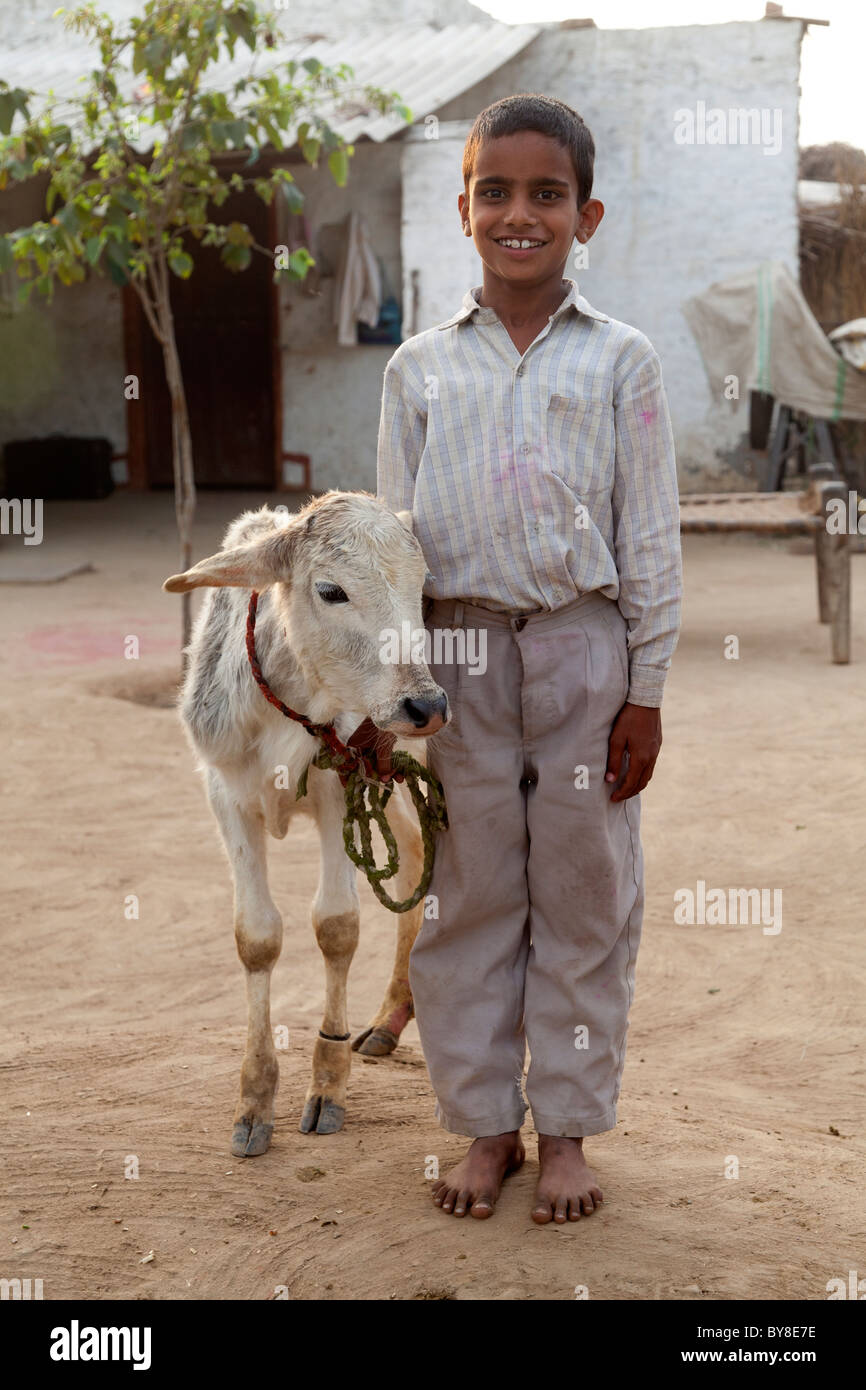 Indian Cow With Child Images