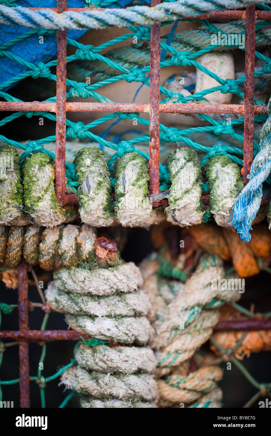 Close up detail view of a lobster cage Stock Photo - Alamy