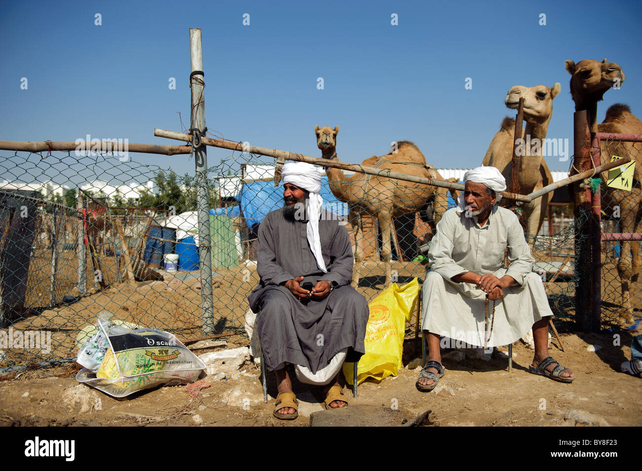 Camel market in doha qatar hi-res stock photography and images - Alamy