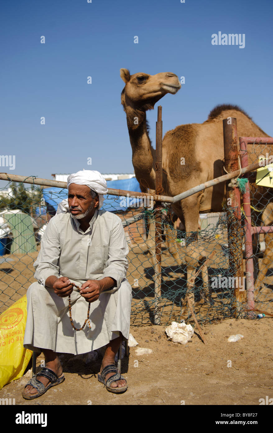 Camel Market in Doha, Qatar Stock Photo - Alamy