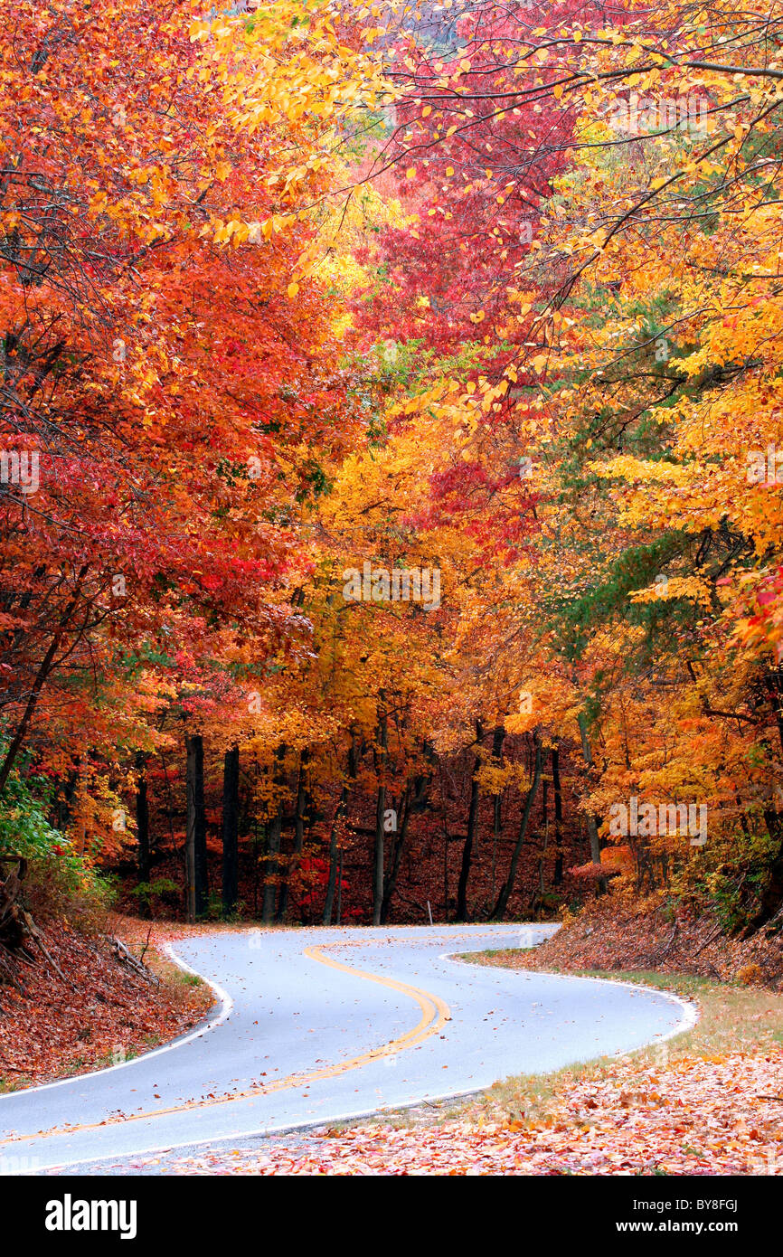 Chatsworth georgia hi-res stock photography and images - Alamy