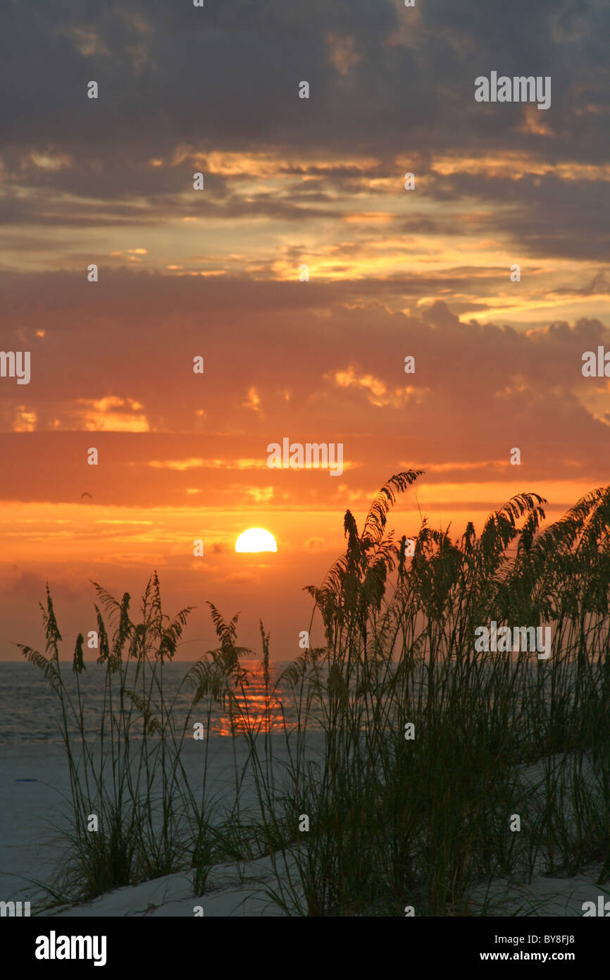 Madeira beach florida hi-res stock photography and images - Alamy