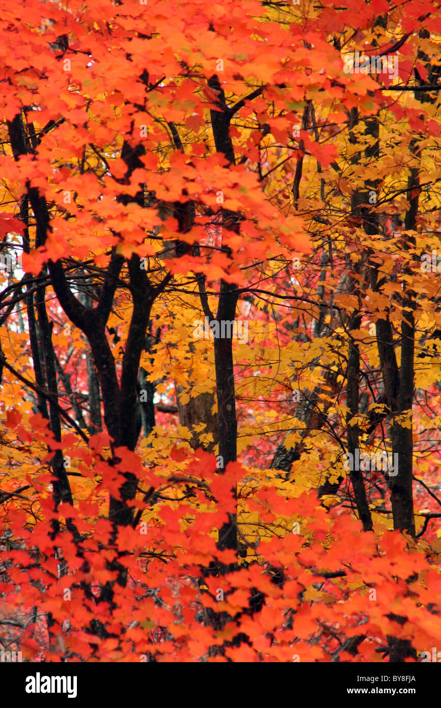 Chatsworth georgia hi-res stock photography and images - Alamy