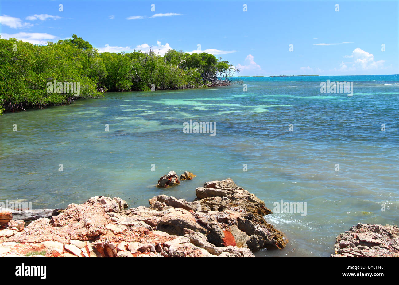 Guanica Reserve - Puerto Rico Stock Photo - Alamy