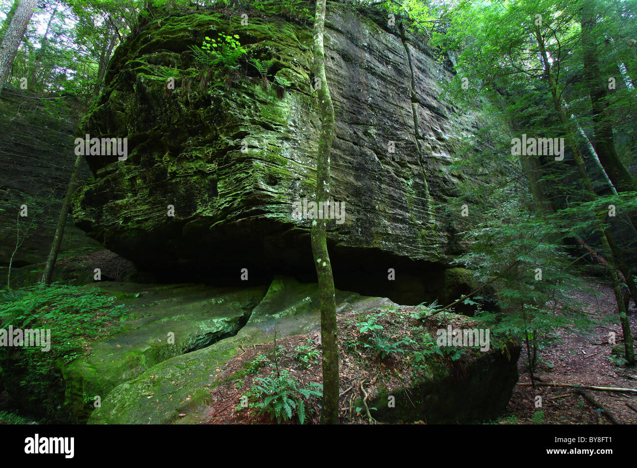 Giant Boulder - Alabama USA Stock Photo - Alamy