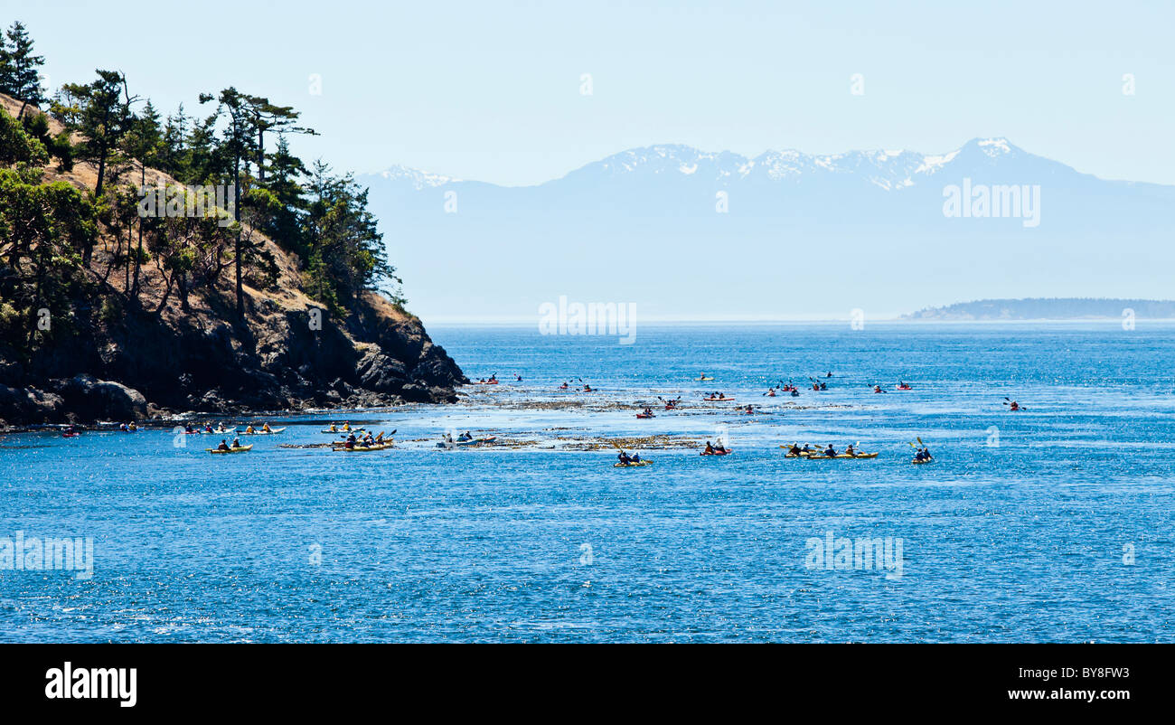 Guided kayak tours on Haro Straight in July near County Park, San Juan ...