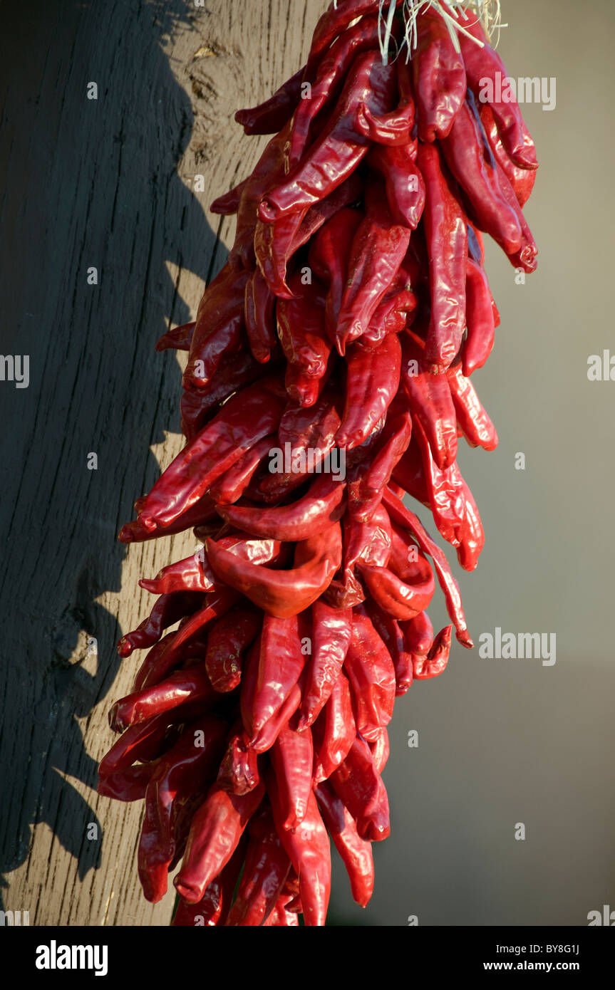Chile ristras hi-res stock photography and images - Alamy