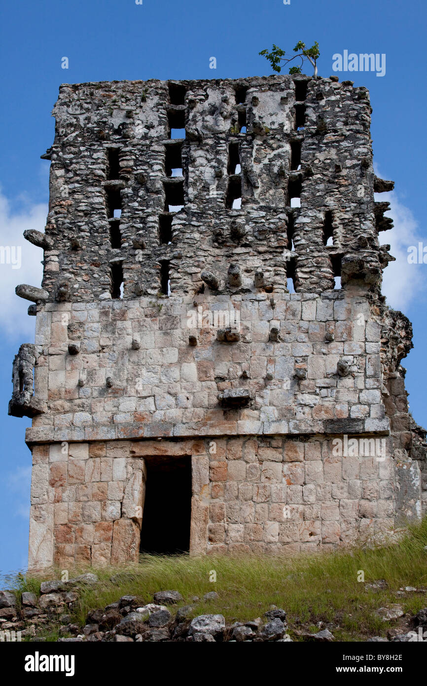 Pucc hi-res stock photography and images - Alamy