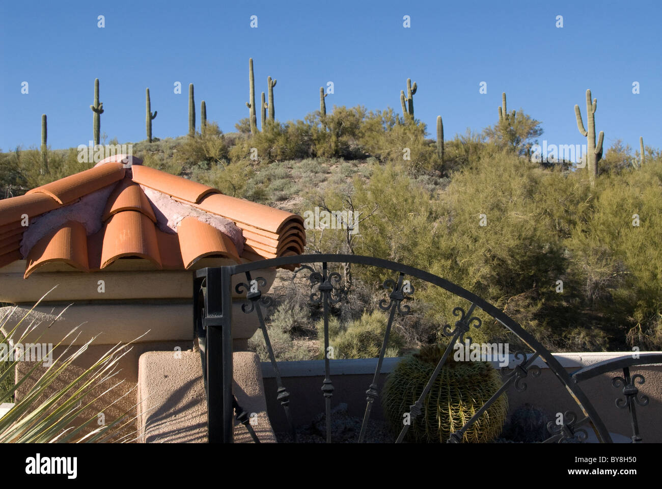 Saguaro Cacti and Adobe Pillar in the North Phoenix suburb of Anthem ...