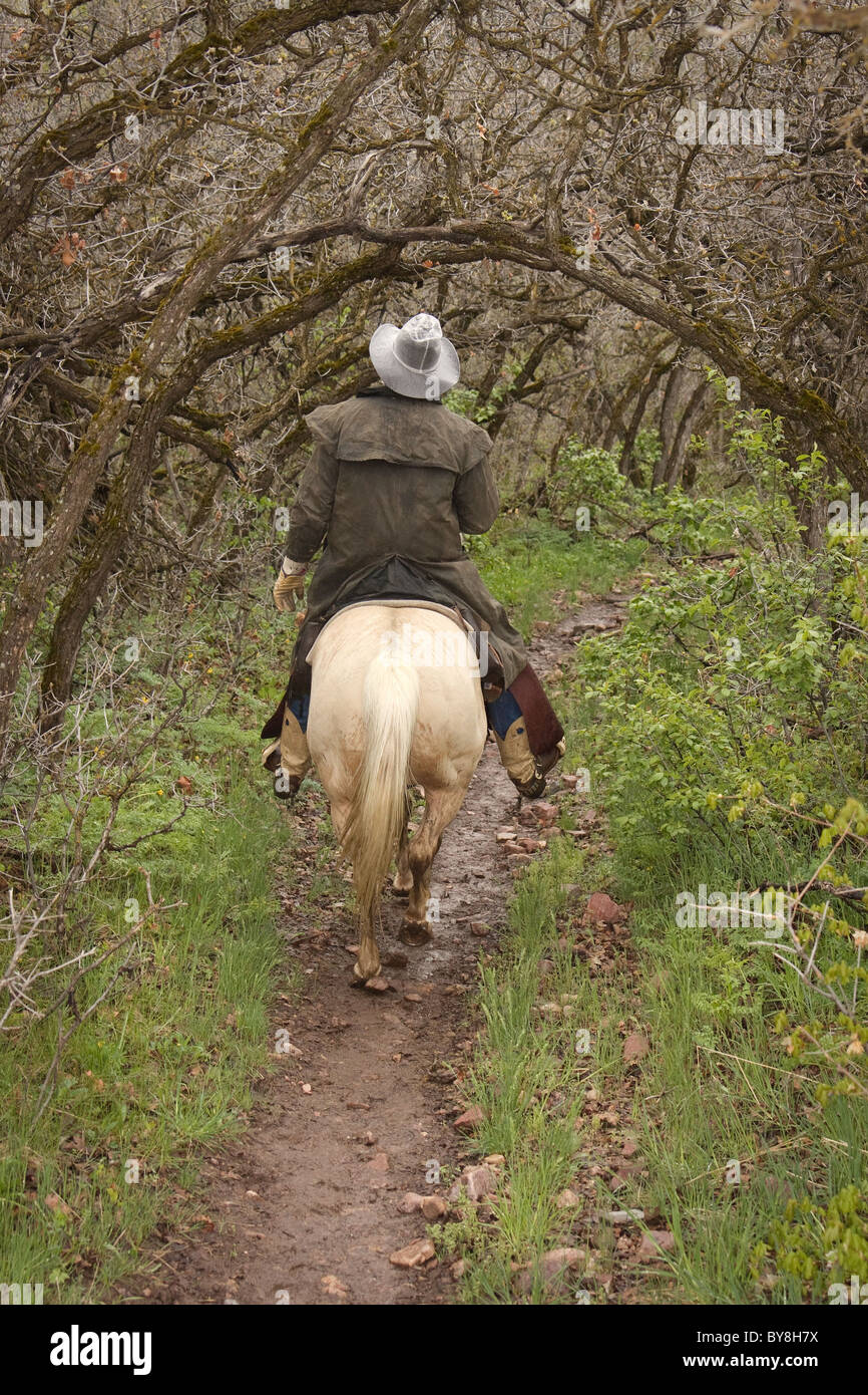 White horse trail hi-res stock photography and images - Alamy