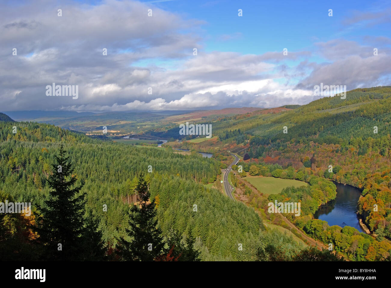 River tay salmon hi-res stock photography and images - Alamy